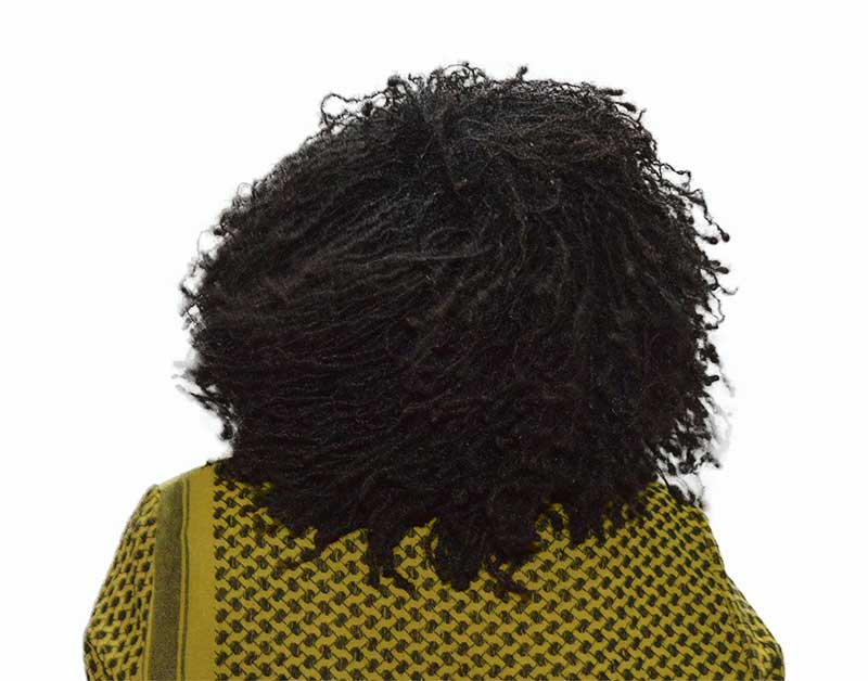 WHAT ARE LOCKS ANYWAY? | Healthfullocks.com